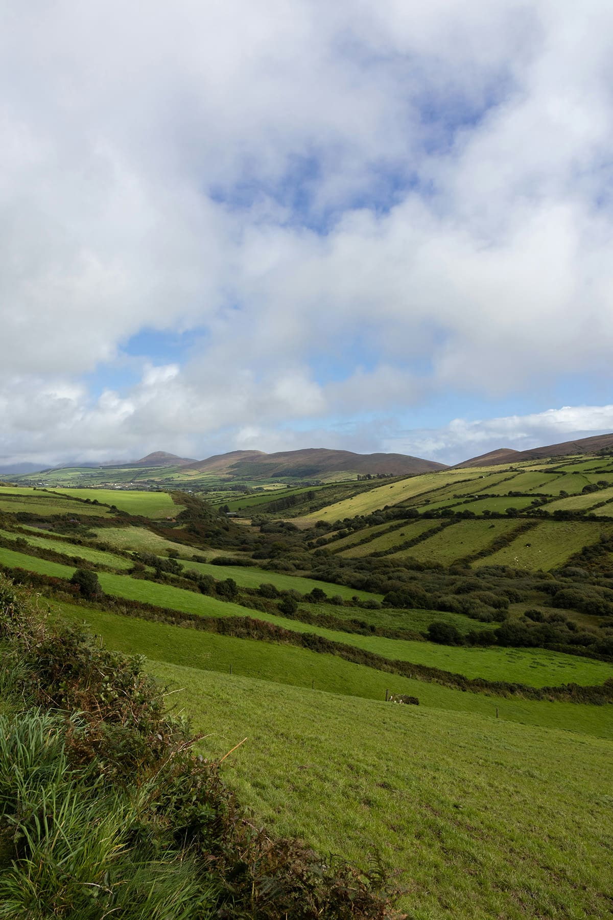 Empowering Sustainable Futures Across Ireland - All Ireland Sustainability
