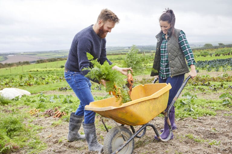 Adapting to Climate Change: Innovative Strategies of Irish Farmers for ...