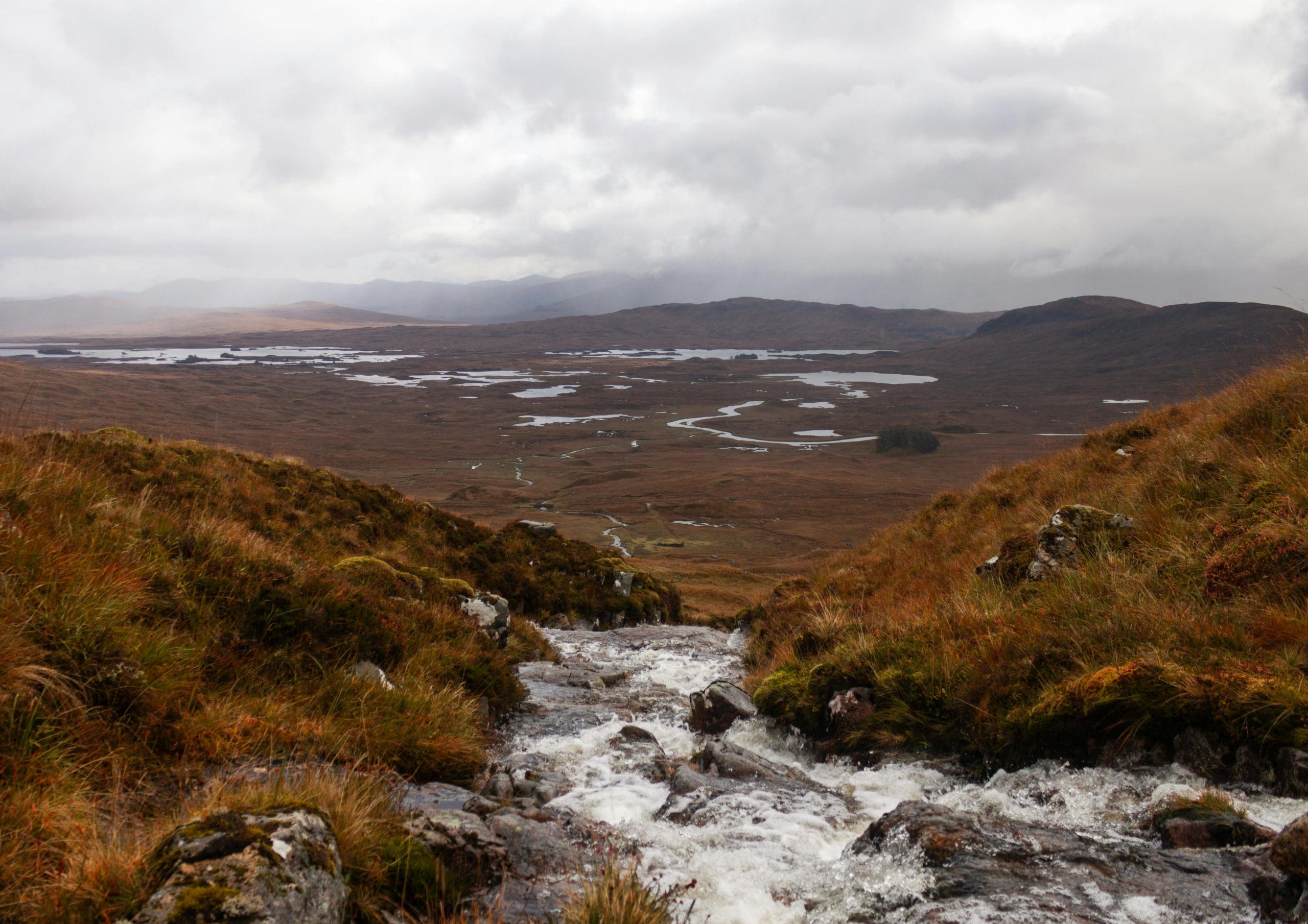 Dutch Contributions to Irish Peatland Conservation | AIS