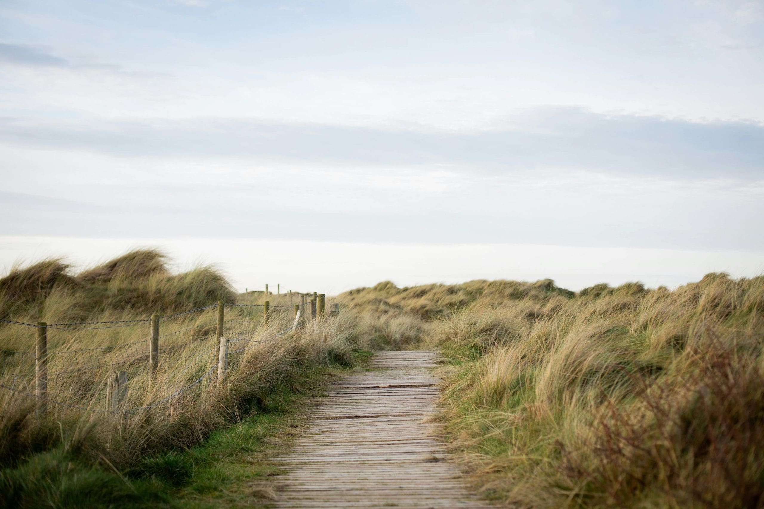 Portstewart Strand Alerts: Blue-Green Algae Found | AIS